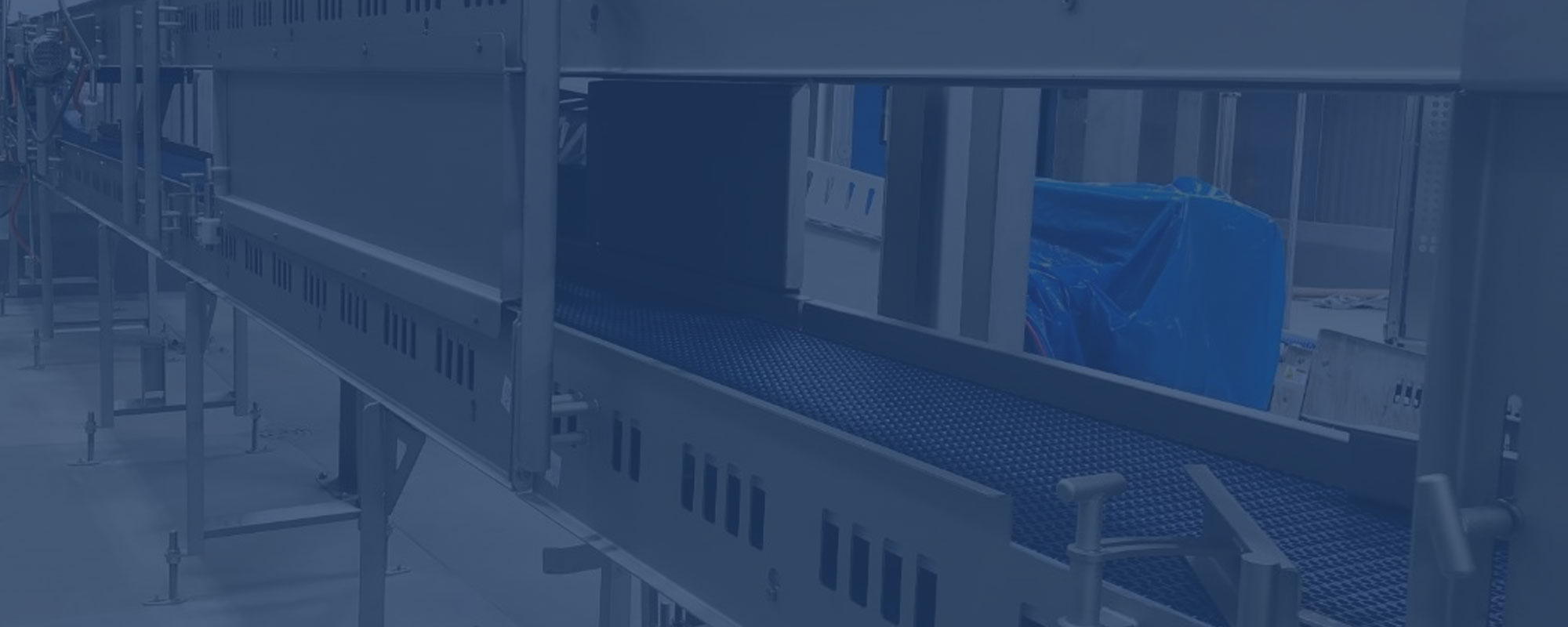 Plastic Modular Conveyors - Friesen's